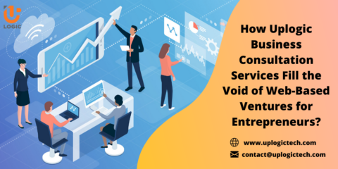 How Uplogic Business Consultation Services Fill the Void of Web-Based ...